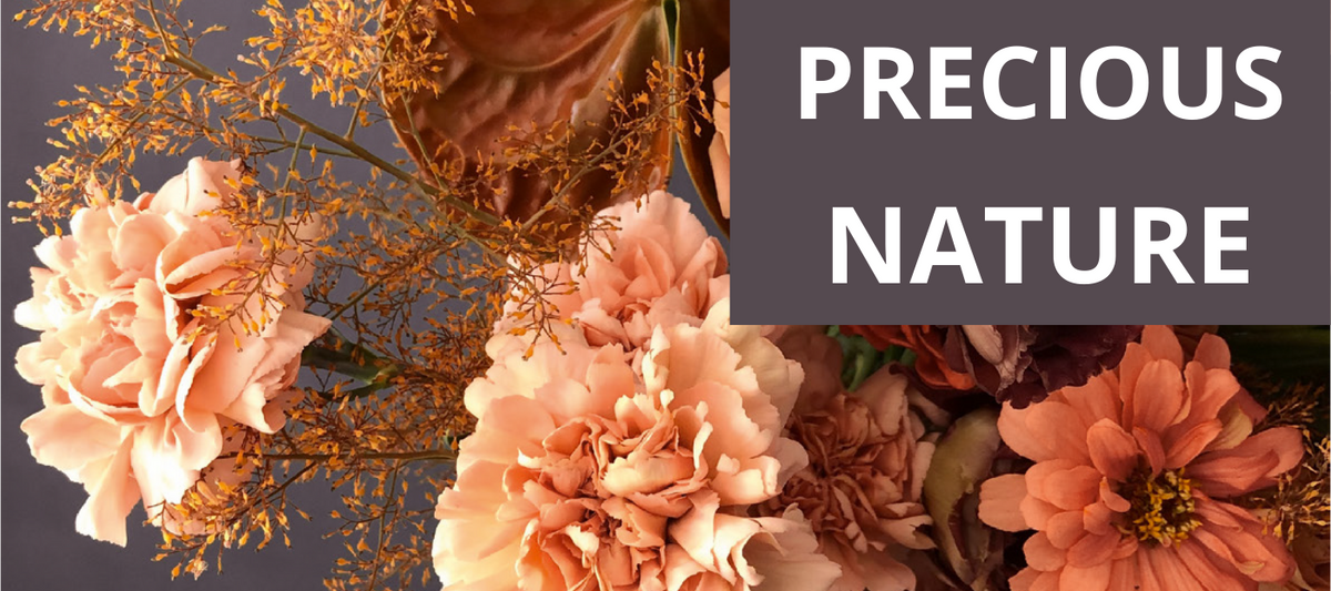 Precious Nature - Inspiring Colour | Harris Paints